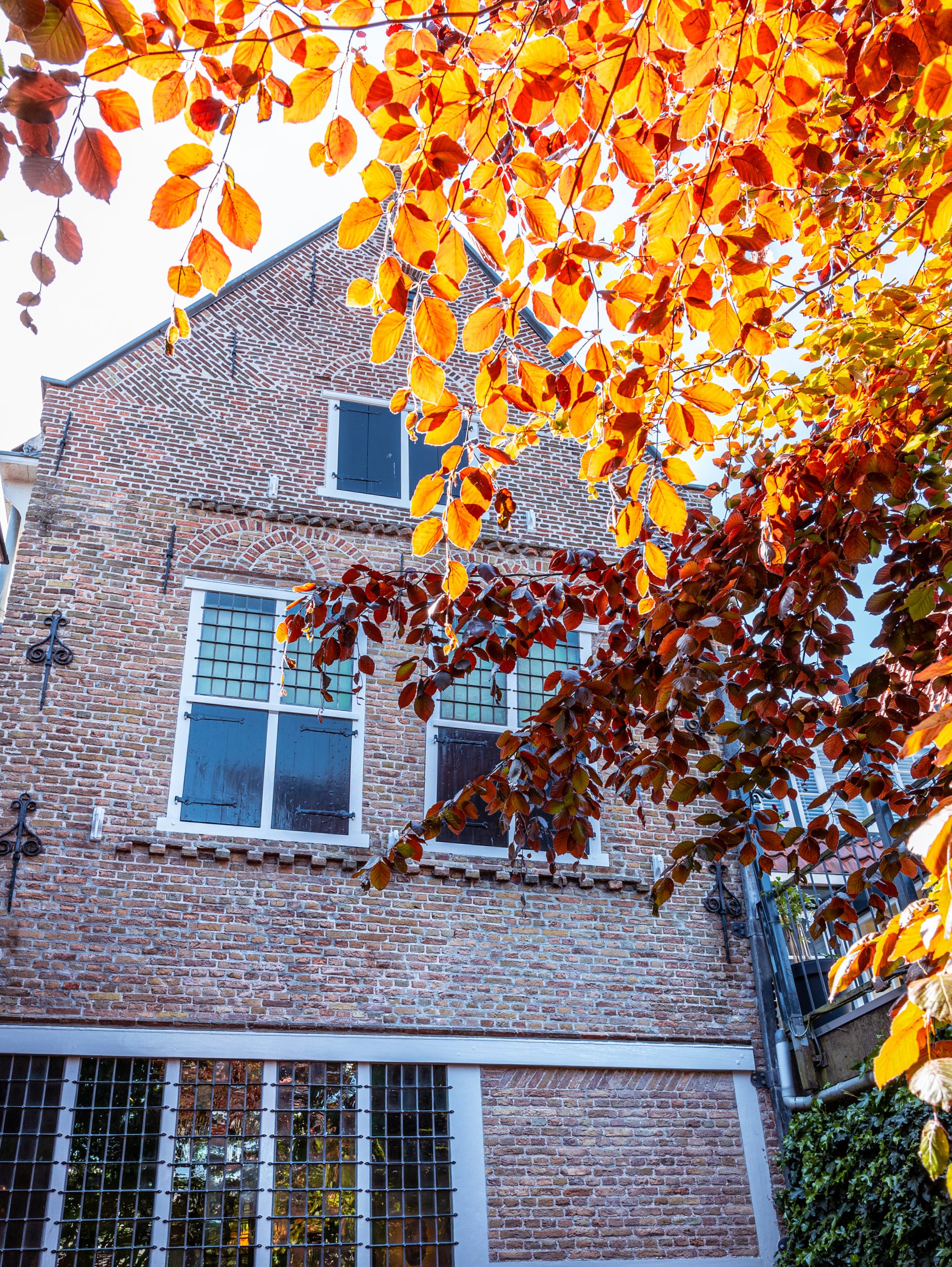 Conditions - Edam Museum